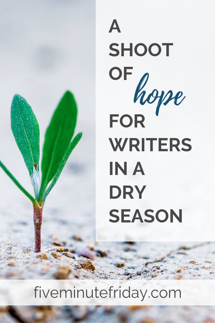 Let the Land Lie Fallow: Embracing a Dormant Season in the Writing Life ...