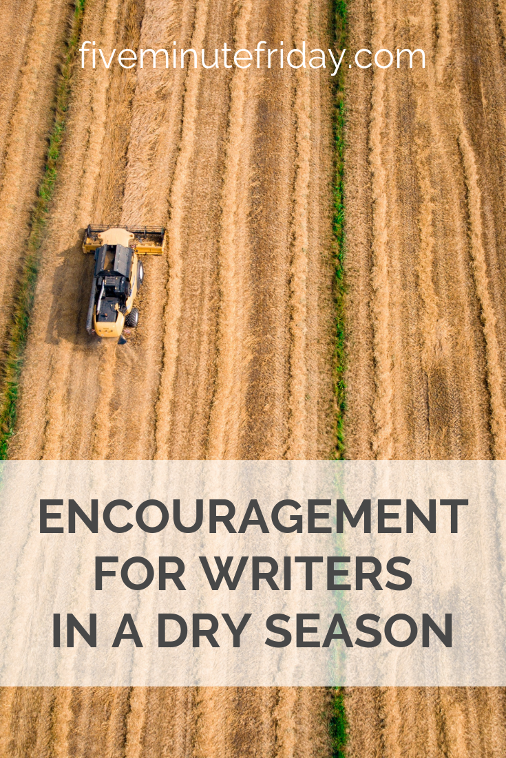 Let the Land Lie Fallow: Embracing a Dormant Season in the Writing Life ...