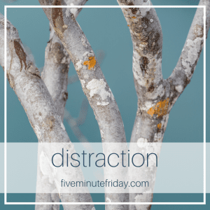 FMF Writing Prompt Link-up :: Distraction - Five Minute Friday